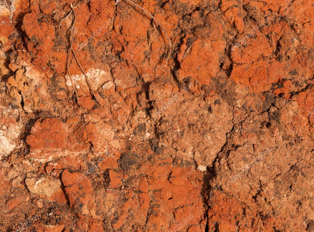 Sedimentary rocks with a high content of iron oxide. Red soil, loam ...