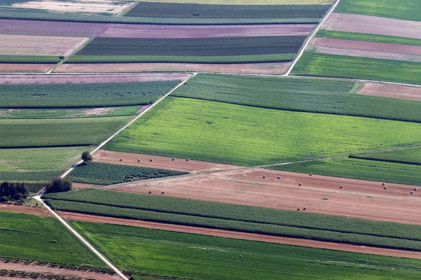 Israeli farm Stock Photos, Royalty Free Israeli farm Images | Depositphotos