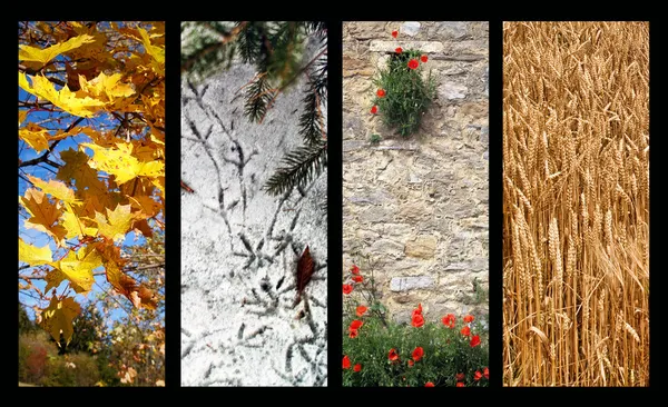 4 seasons Stock Photos, Royalty Free 4 seasons Images | Depositphotos