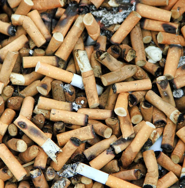 Many cigarette butts Stock Photo by ©rrrneumi 8815692