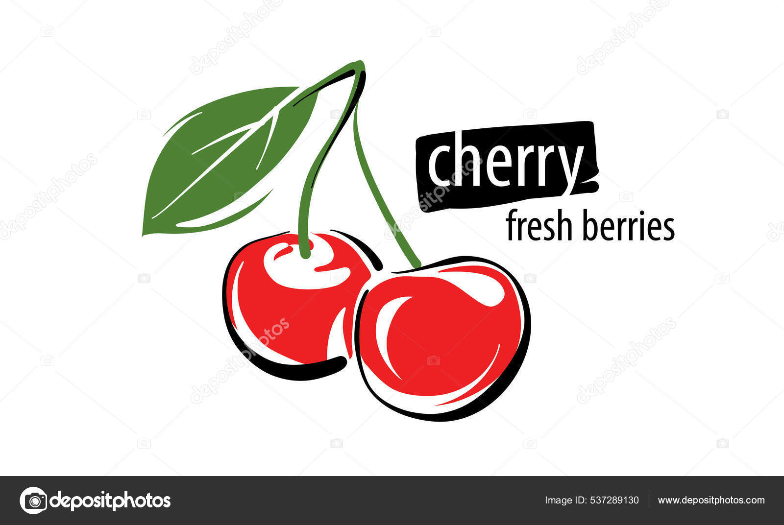 Drawn vector cherry on a white background Stock Vector by ©artbutenkov ...