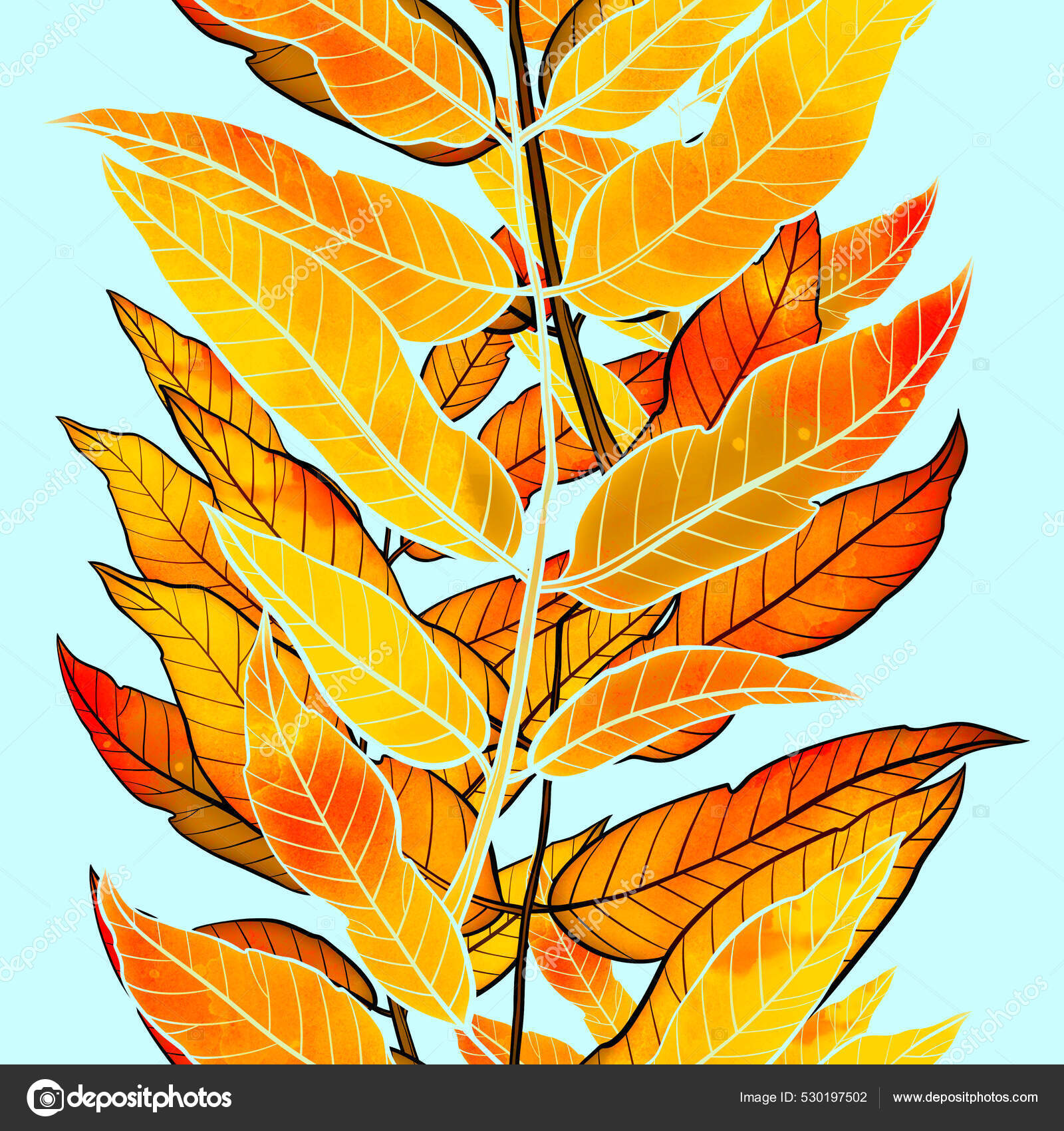 Deciduous Leaves