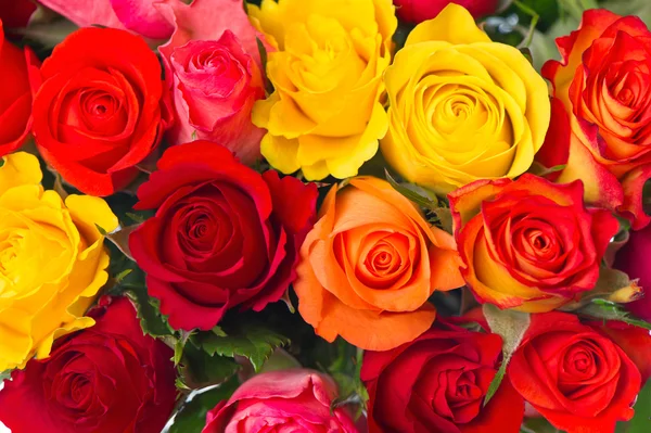 bouquet of colorful assorted roses - Stock Image - Everypixel