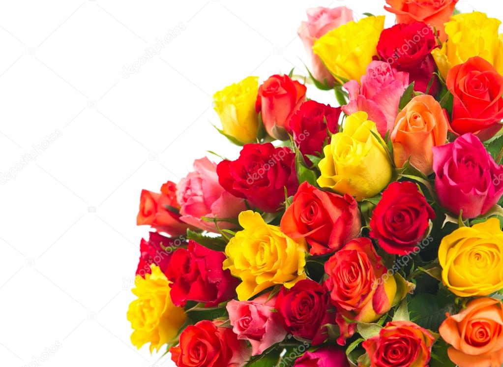Yellow And Red Roses Background