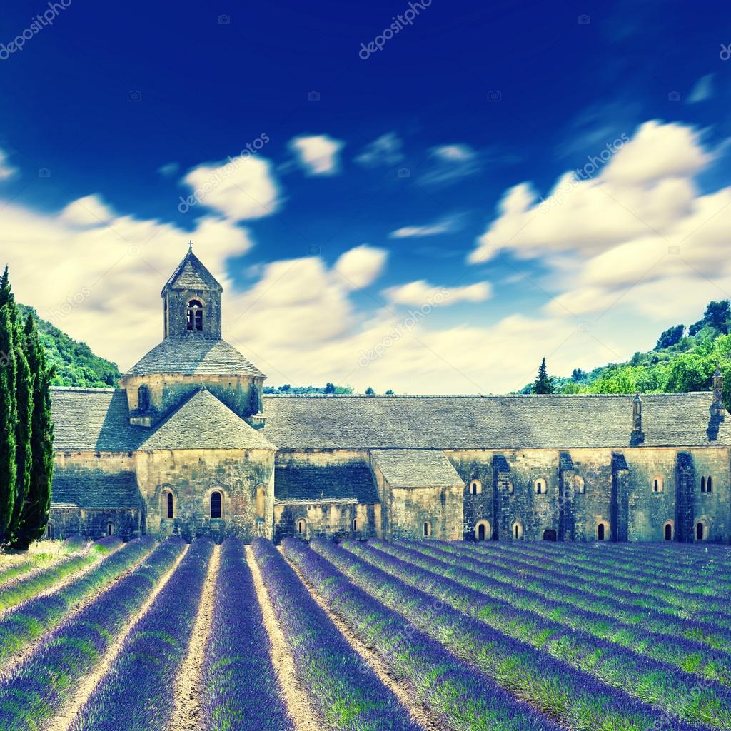 Senanque abbey with lavender field, Provence, France — Stock Photo ...