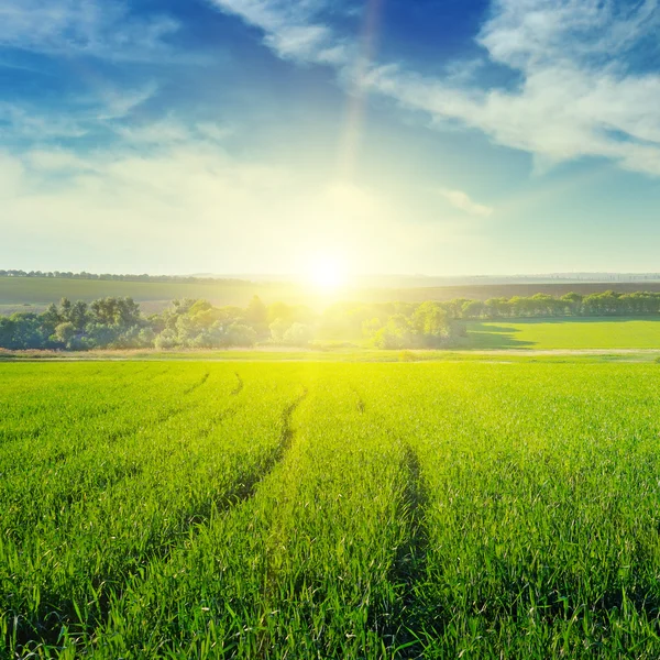 Landscape on sunset Stock Photo by ©artjazz 3974596