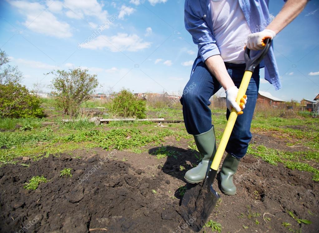 Cavando en el jardín — Foto de stock #28278127 © pressmaster