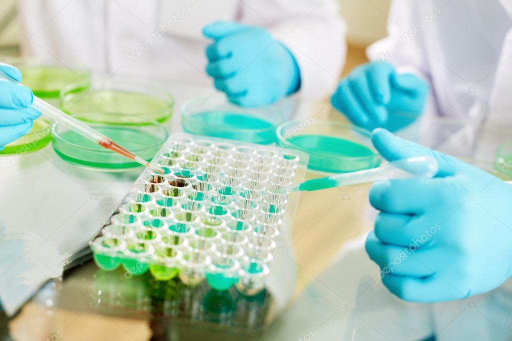 Clinical work — Stock Photo © pressmaster #31210187