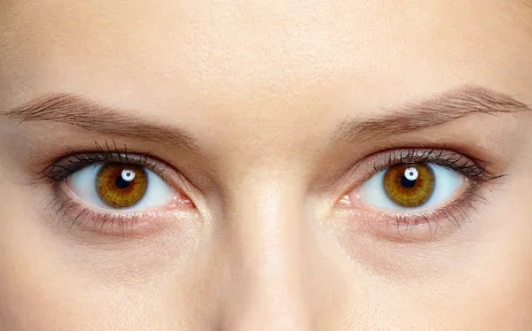 Human eye Stock Photo by ©pressmaster 13724530