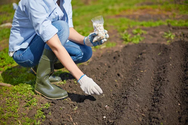 Sowing season Stock Photos, Royalty Free Sowing season Images ...