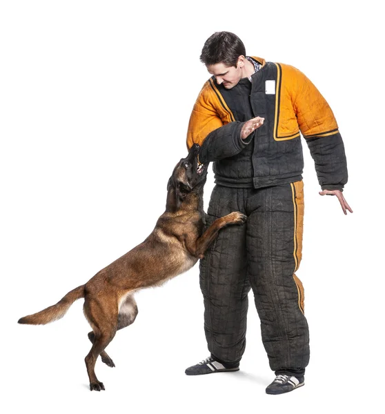 Dog attacking man Stock Photos, Royalty Free Dog attacking man Images ...