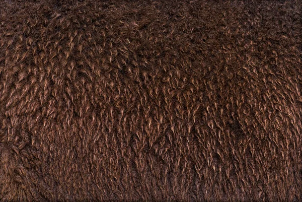 Close-up on Dark rose grey alpaca wool or fiber - Lama pacos - Stock ...