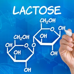 61 Lactose intolerant Vector Images | Depositphotos