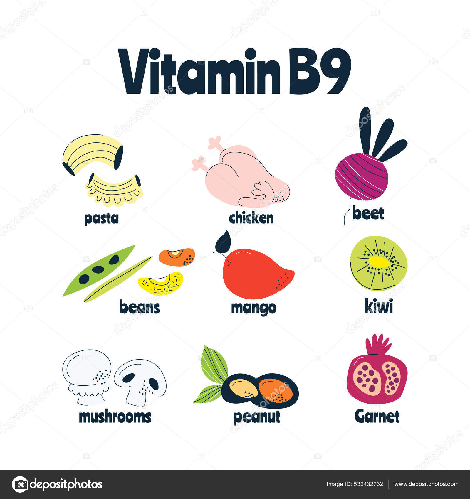 The main food sources of vitamin B9. Healthy food concept. Stock Vector Image by ©lilileka ...