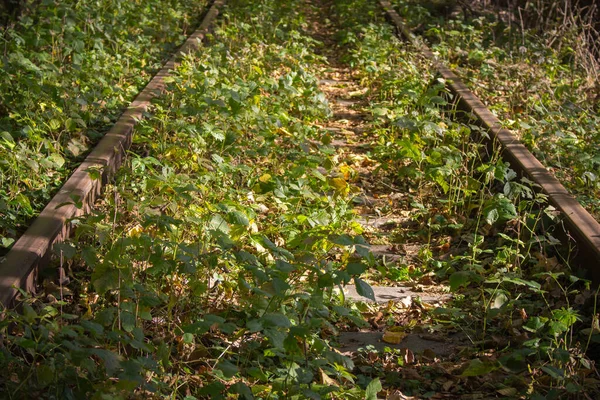 Abandoned rail way Stock Photos, Royalty Free Abandoned rail way Images ...