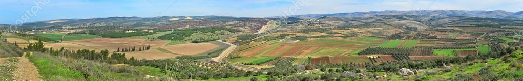 Israeli landscape Stock Photos, Royalty Free Israeli landscape Images ...