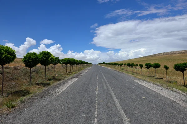 A beautiful view of the road in the countryside - Stock Image - Everypixel