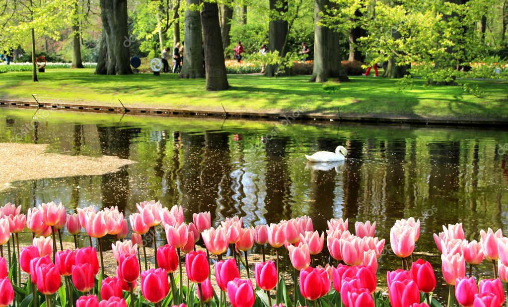 Beautiful park in spring with pond — Stock Photo © tannjuska #40097739