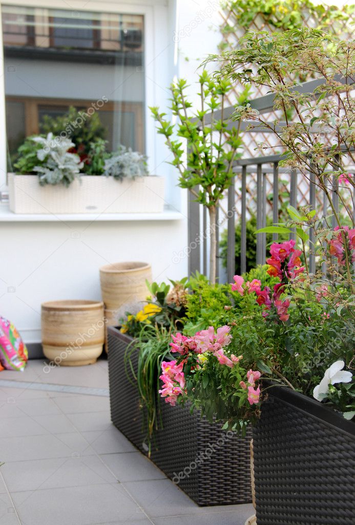 Beautiful modern terrace with a lot of flowers — Stock Photo ...