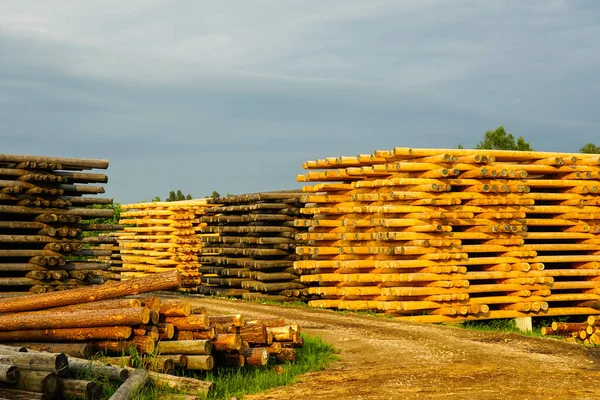 Lumber production Stock Photos, Royalty Free Lumber production Images ...