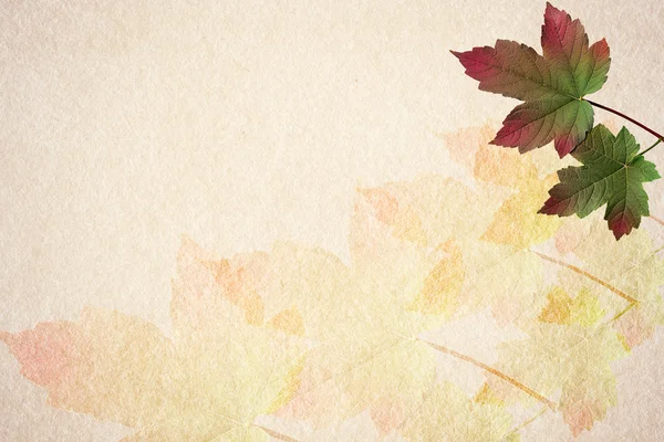 Old paper autumn leaves background — Stock Photo © serge01 #14210825