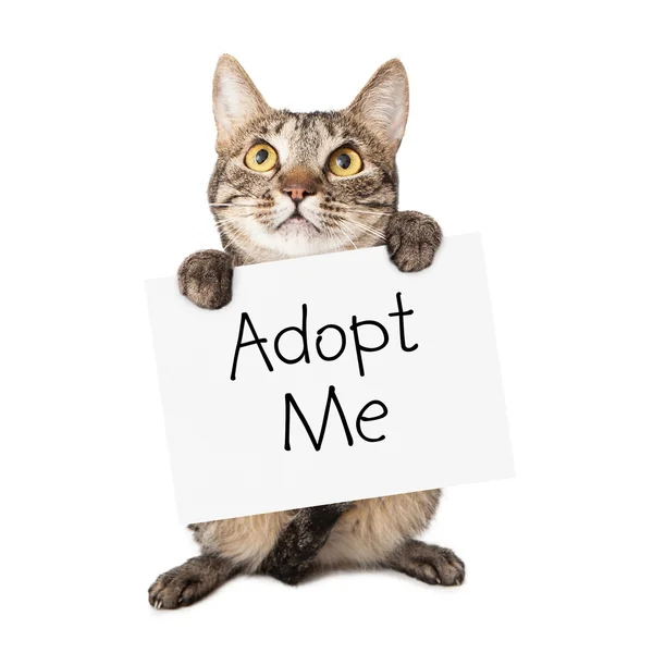 Adopt sign Pictures, Adopt sign Stock Photos & Images | Depositphotos®