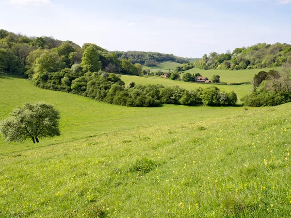 Lavant valley Stock Photos, Royalty Free Lavant valley Images ...