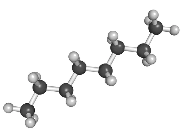 Coniina imágenes de stock de arte vectorial | Depositphotos