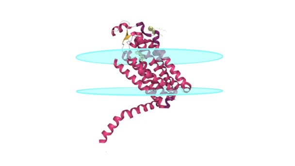 4,393 Molécule isolée Videos, Royalty-free Stock Molécule isolée ...