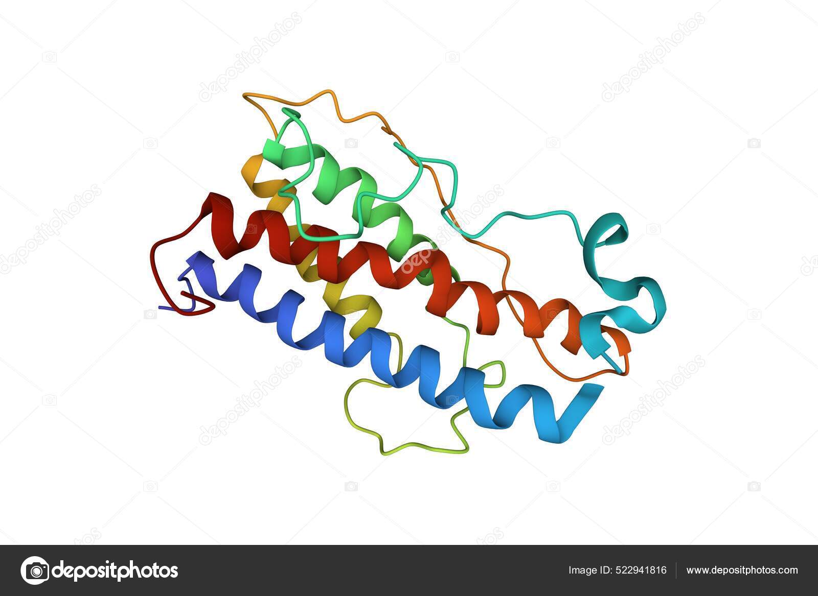 Protein Structure Cartoon