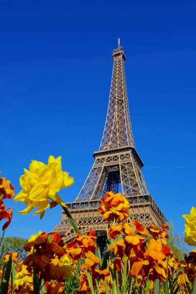 Eiffel Tower during spring time in Paris, France — Stock Photo © samot ...