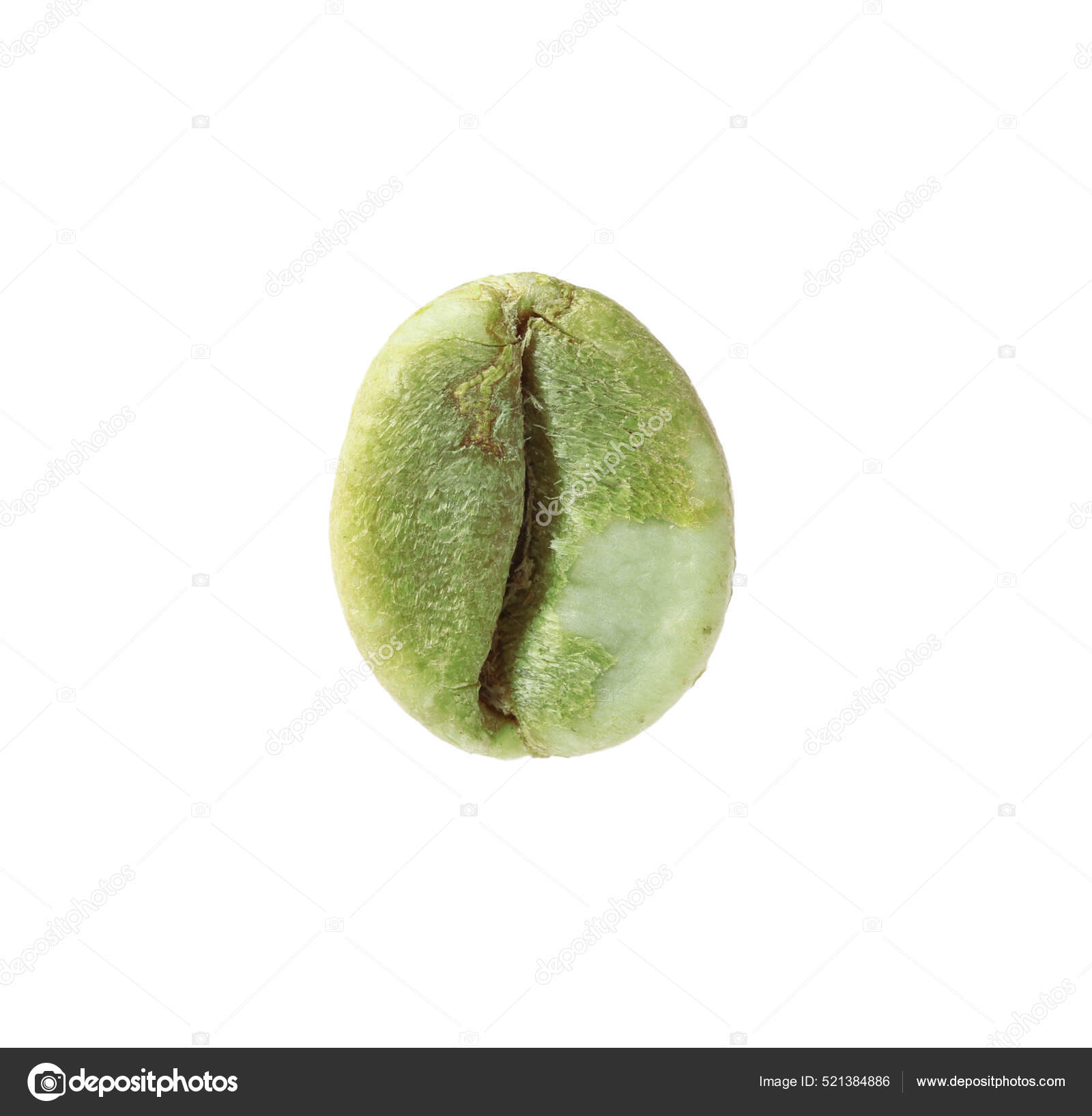 One Green Coffee Bean Isolated White — Stock Photo © NewAfrica #521384886
