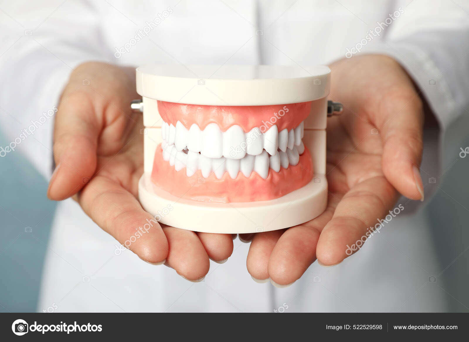 Dentist Coat Holding Typodont Teeth Closeup Stock Photo by ©NewAfrica ...