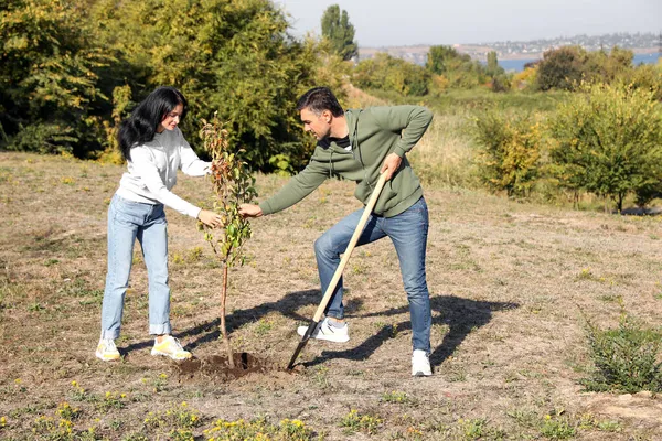 People planting trees Images - Search Images on Everypixel