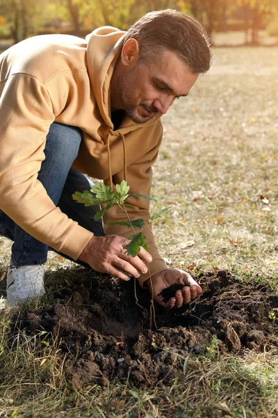 People planting trees Images - Search Images on Everypixel