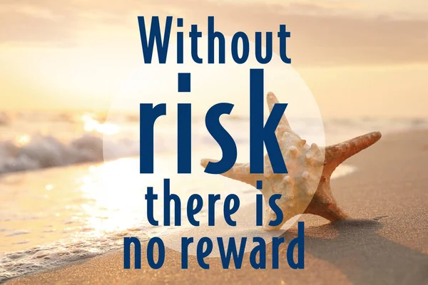 No Risk No Reward