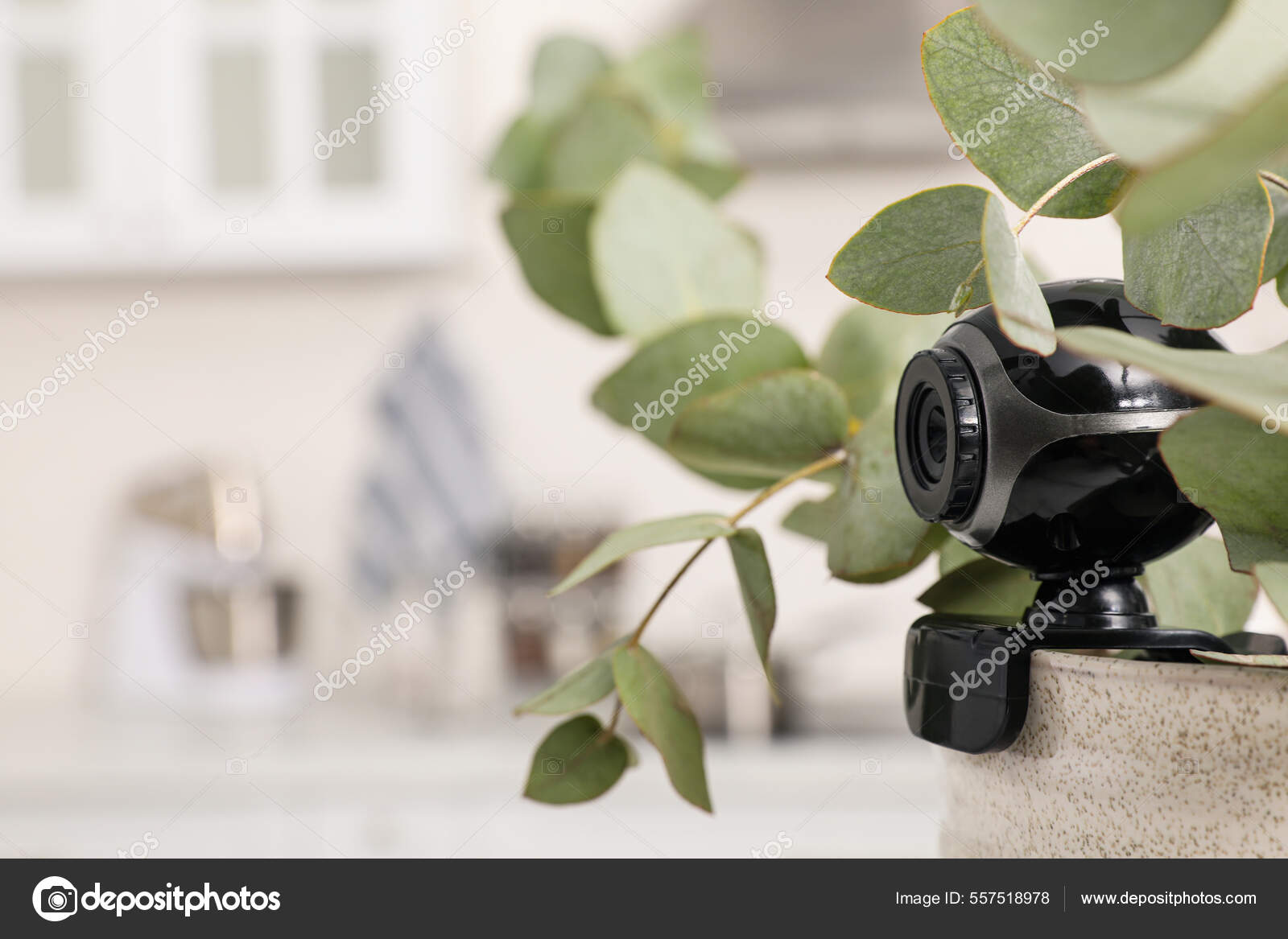 Spy Camera Hidden Flower Pot Indoors Closeup Space Text — Stock Photo ...