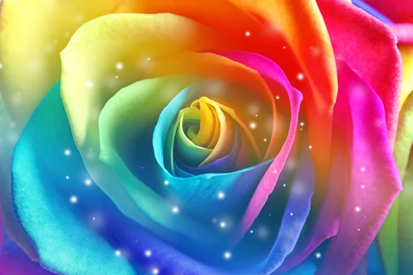 Rainbow Roses Wallpaper