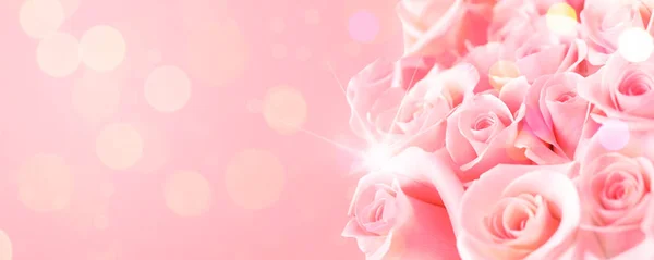 Beautiful Rose Cover Photos For Facebook Timeline