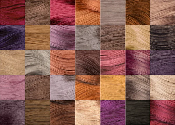 Hair color palette Images - Search Images on Everypixel