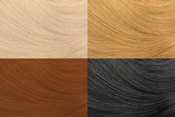 Hair color palette Images - Search Images on Everypixel
