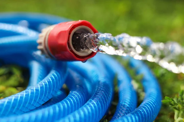 Water flowing from hose on green grass outdoors, closeup - Stock Image ...