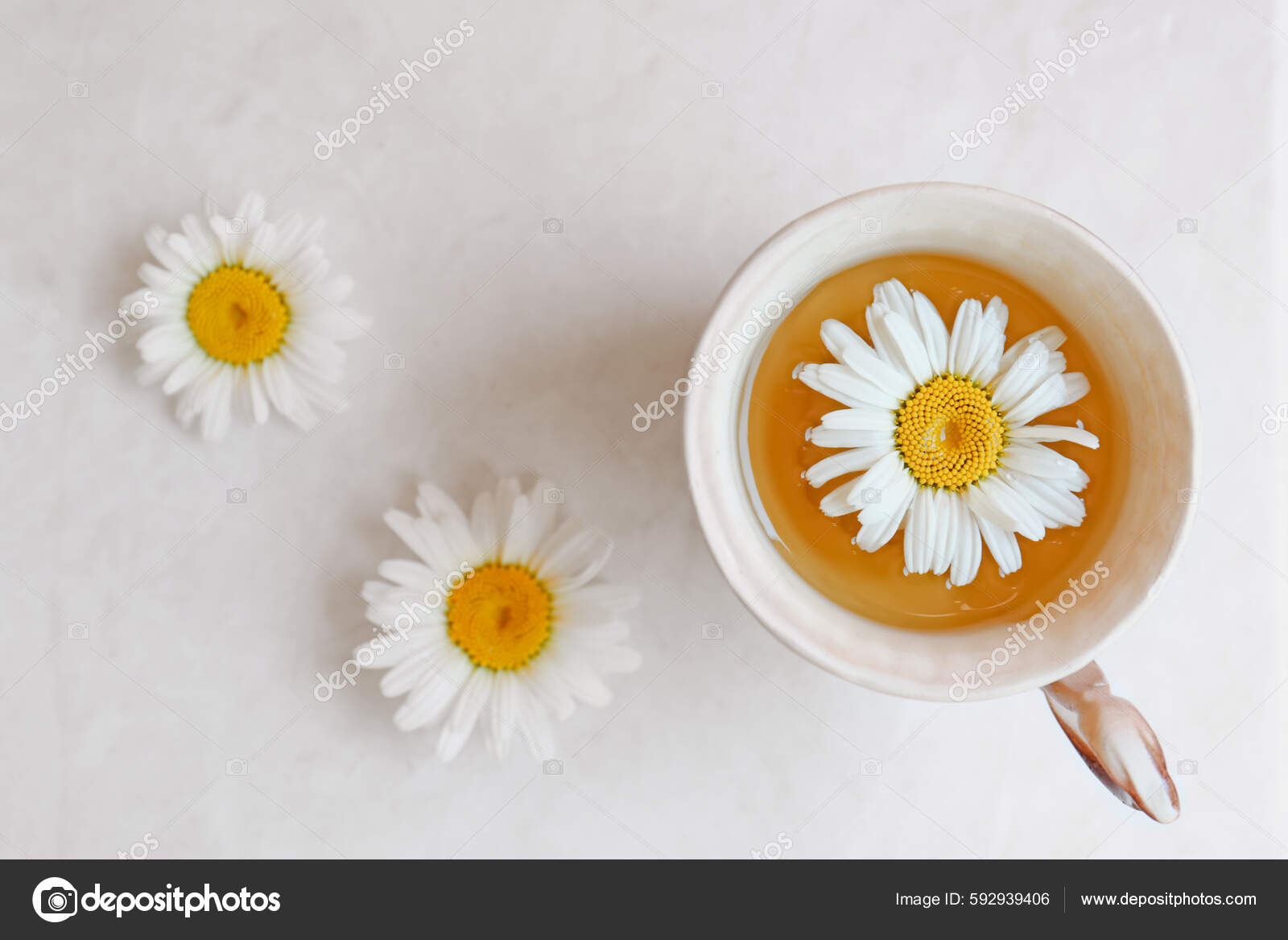 Tasty Herbal Tea Fresh Chamomile Flowers White Table Flat Lay — Stock ...