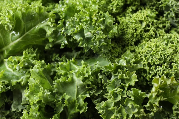 Italian kale Stock Photos, Royalty Free Italian kale Images | Depositphotos