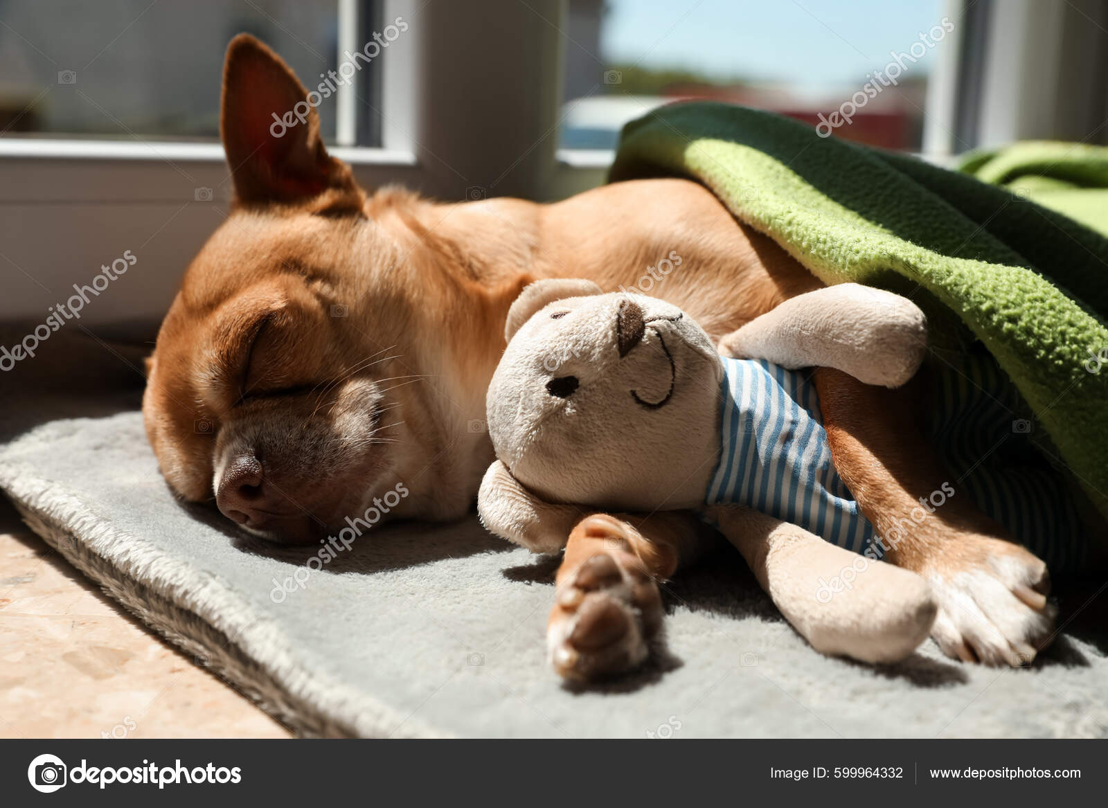 Puppies Sleeping With Stuffed Animals