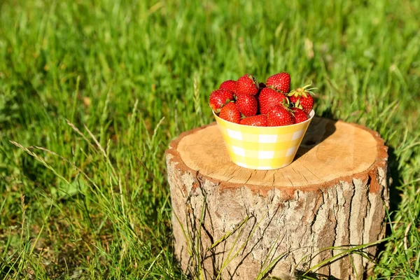 Bowl of ripe strawberries on tree stump outdoors. Space for text ...