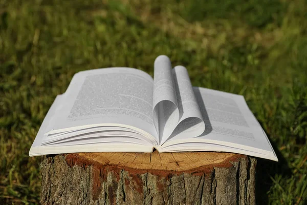 Book in tree Stock Photos, Royalty Free Book in tree Images | Depositphotos