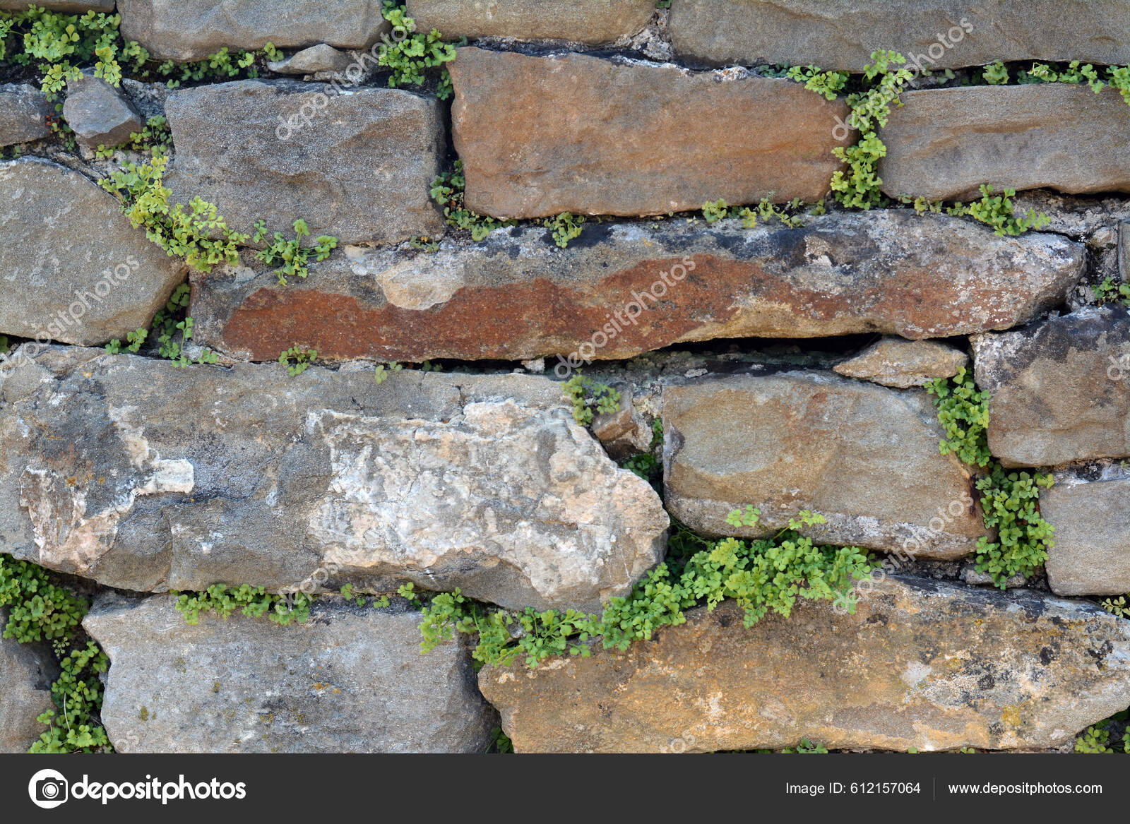Texture Old Stones Plants Background Closeup Stock Photo by ©NewAfrica ...