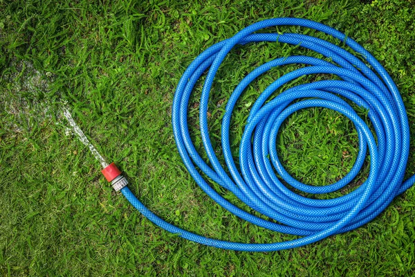 Water flowing from hose on green grass outdoors, top view - Stock Image ...