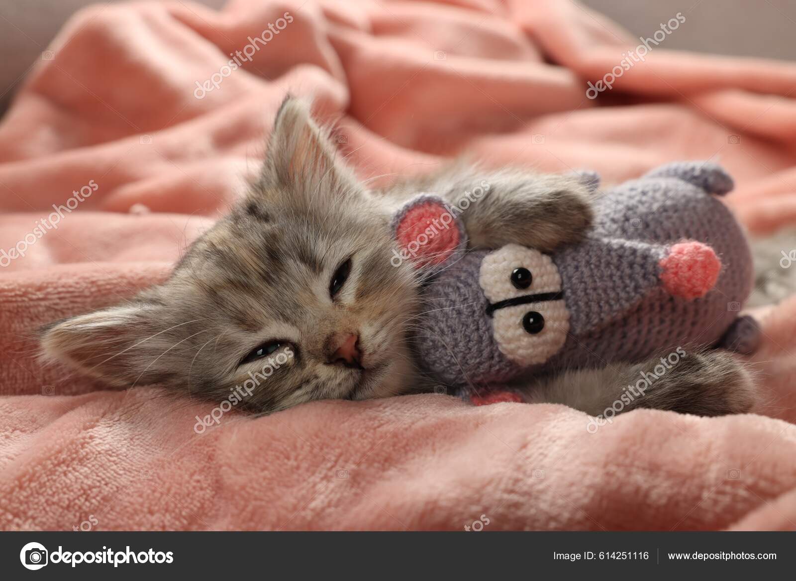 Cute Sleepy Kitten Toy Soft Pink Blanket — Stock Photo © NewAfrica ...